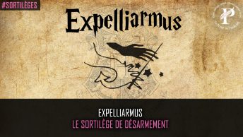 Sortilèges - La Plume de Poudlard - Le média d'actualité Harry Potter
