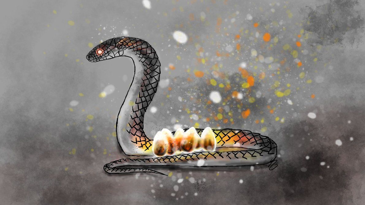 Ashwinder : le serpent fantastique qu’on ne connaît pas! - La Plume de ...