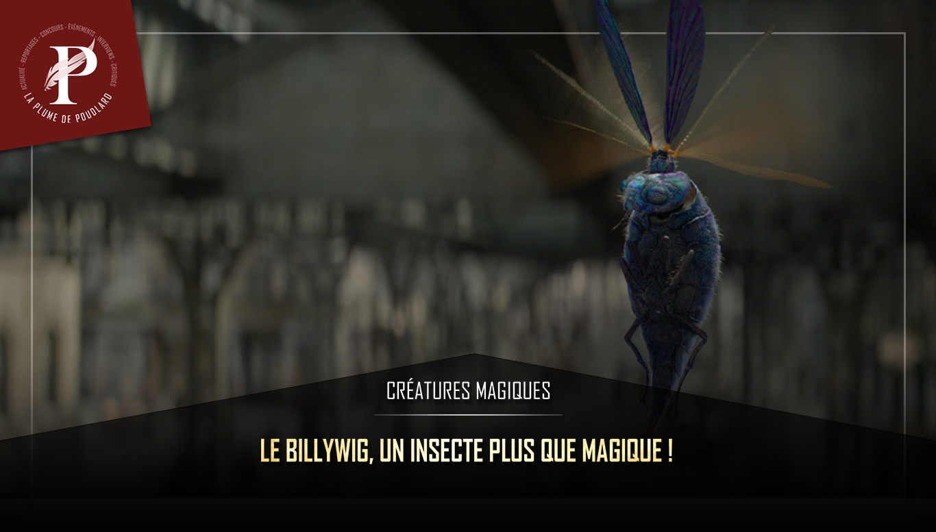 Le Billywig, un insecte plus que magique ! - La Plume de Poudlard - Le ...