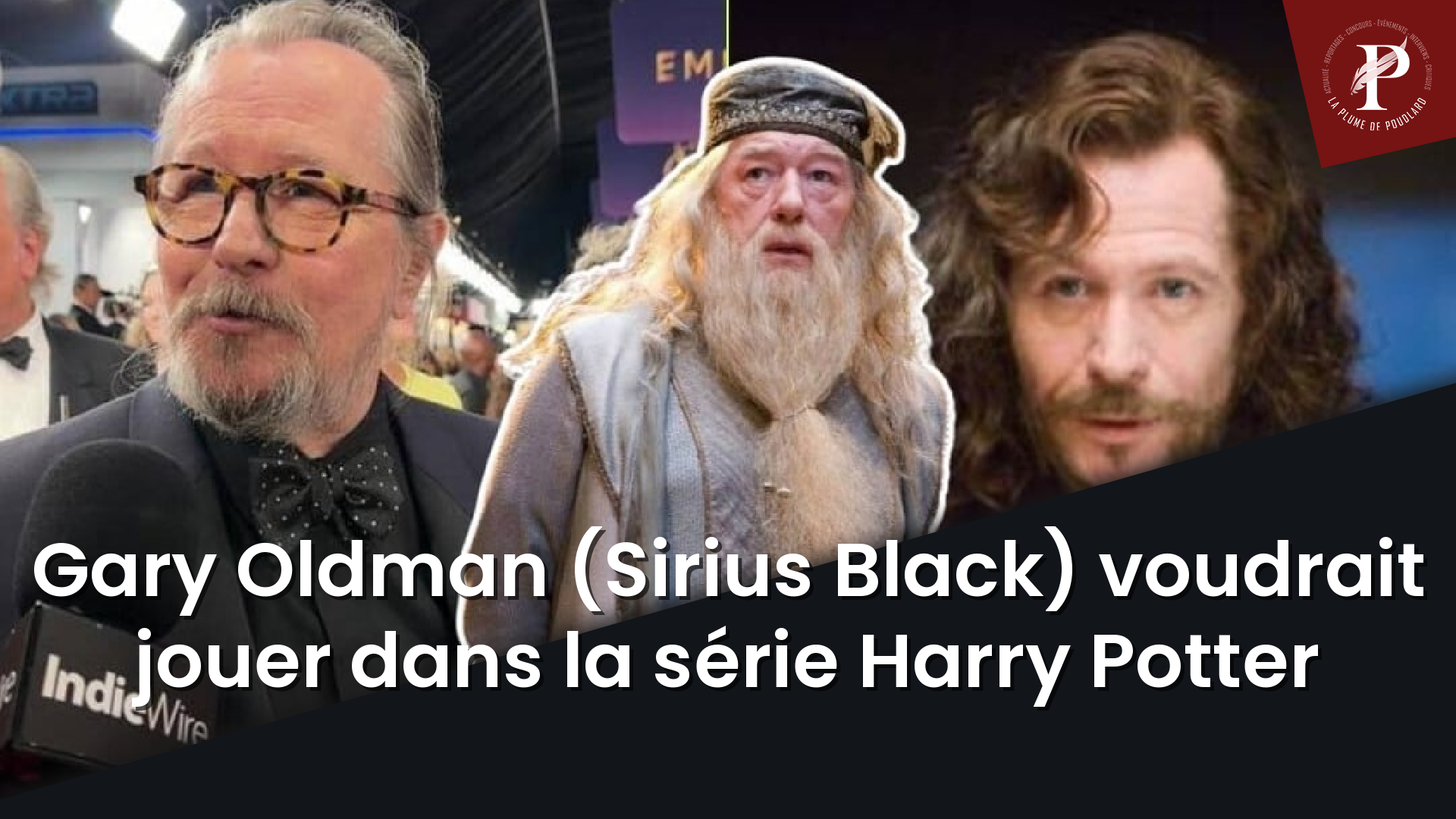 Gary Oldman (Sirius Black) voudrait jouer dans la série Harry Potter ...